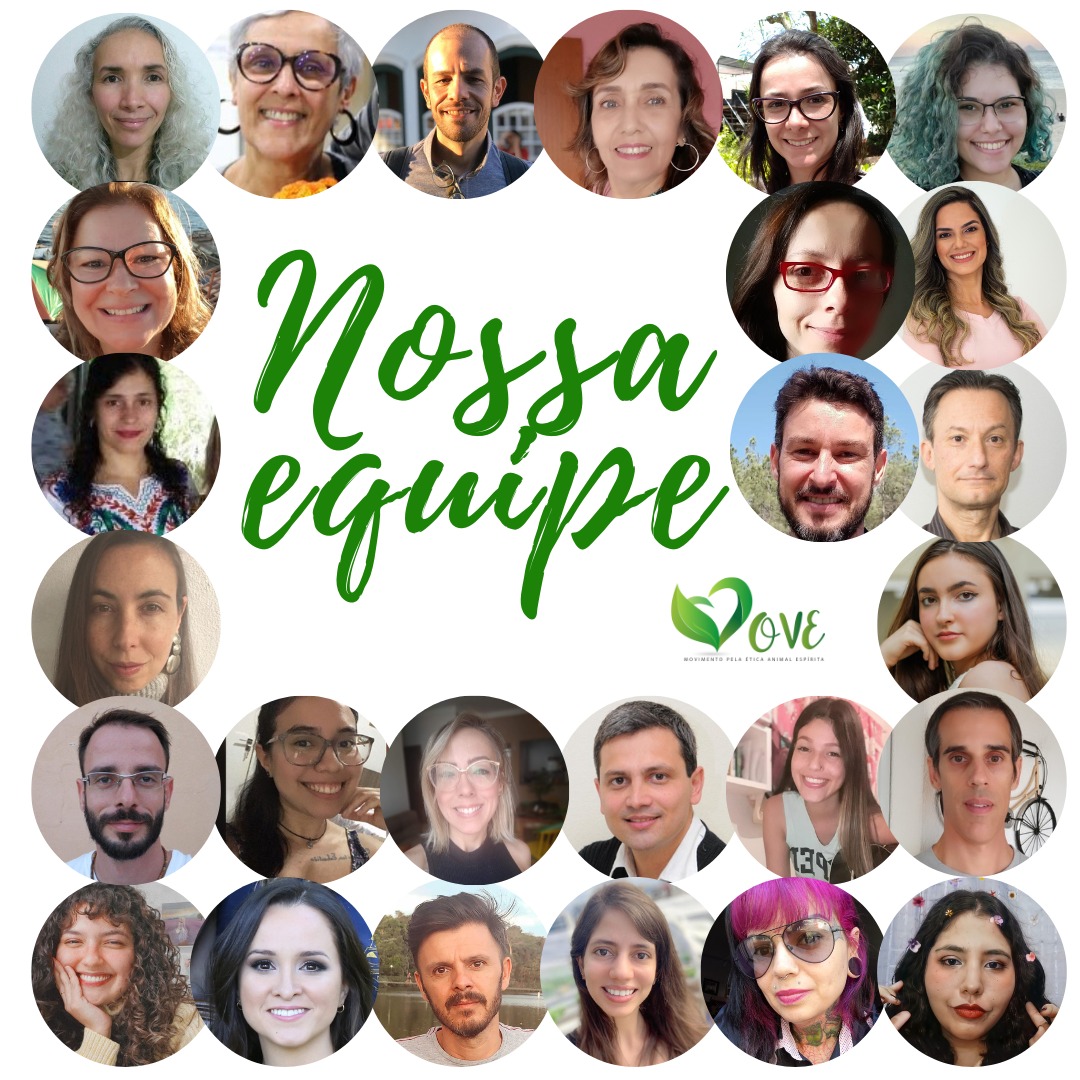 Conheça a Equipe MOVE – MOVE
